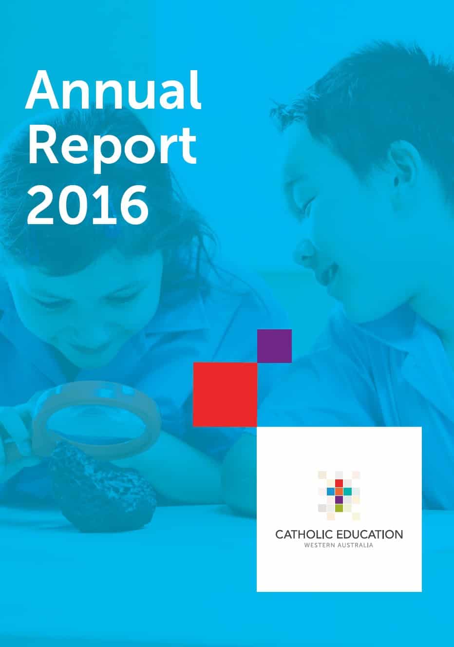 Annual Report 2016 - CEWA