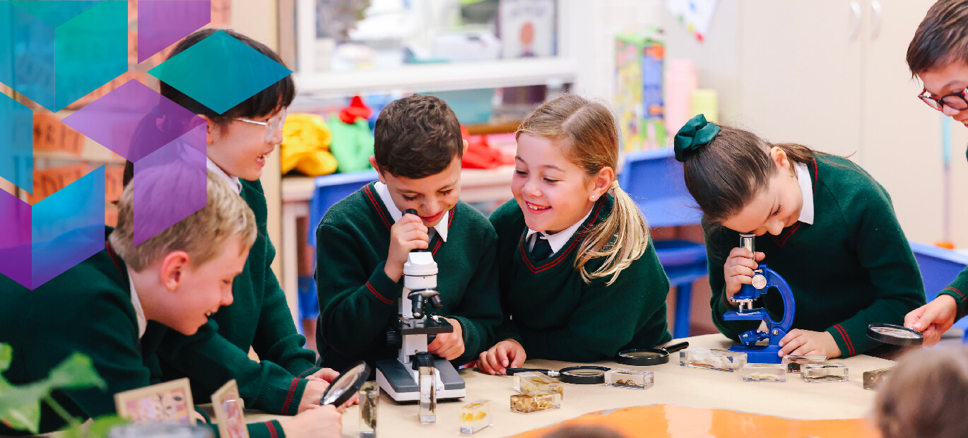 Tendering with CEWA - CEWA